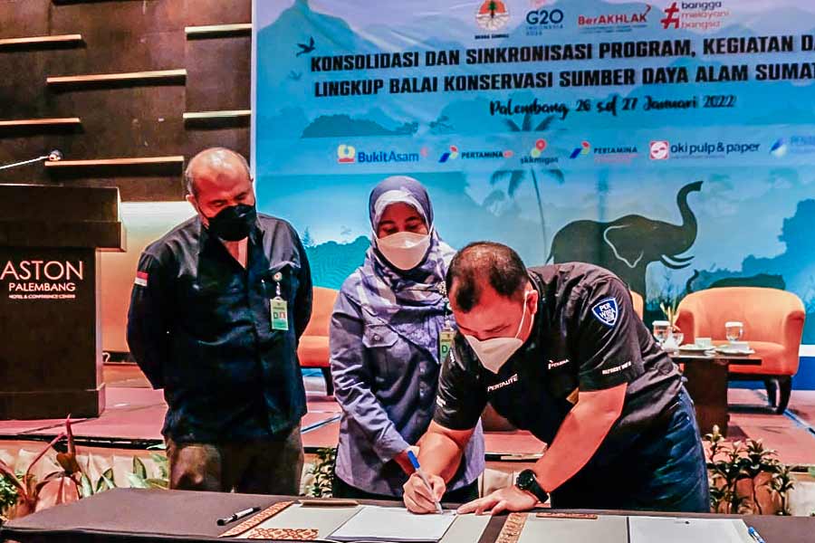 Sinergi Bersama BKSDA Sumsel, Kilang Pertamina Plaju Dukung Pelestarian ...