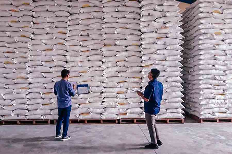 Januari 2023, Harga Gabah Kering Panen Naik 16,52 Persen | Pilar.ID