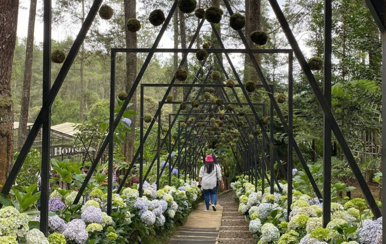 6 Wisata Lembang Bandung Wajib Disambangi, Info Tiket dan Jam Buka ...