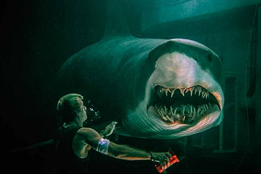 Sinopsis Deep Blue Sea (1999): Perburuan Hiu Pembunuh Hasil Eksperimen ...