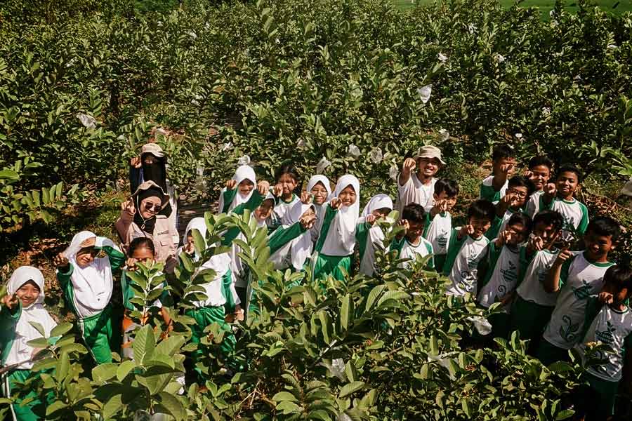 Eduwisata Ndalem Kerto, Kawasan Wisata Alternatif di Ponorogo yang ...